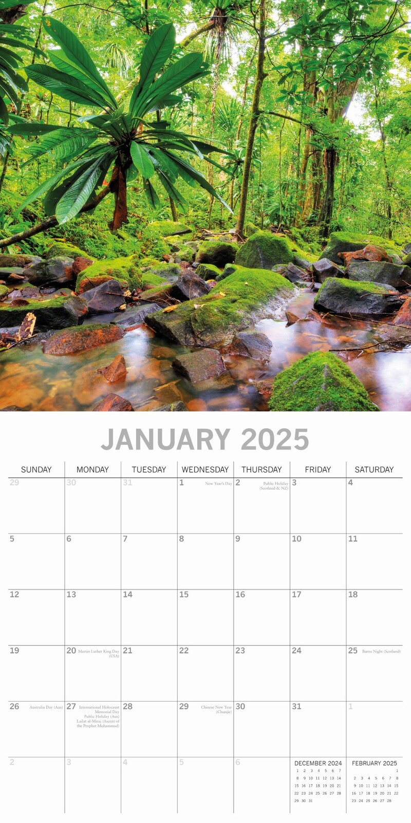 Jungles - 2025 Square Wall Calendar 16 month by Gifted Stationery - FIL